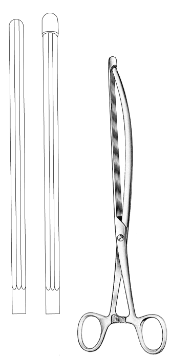 Intestinal & Stomach